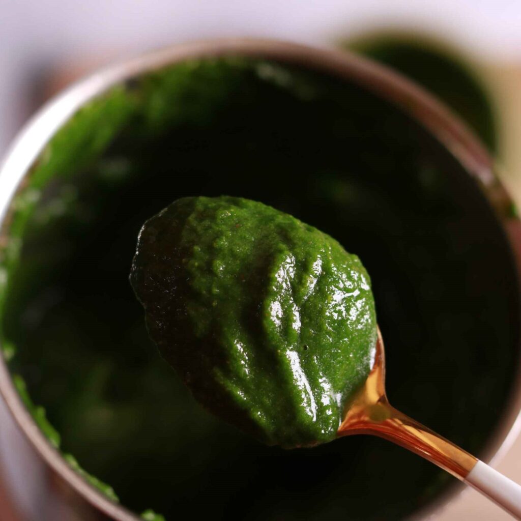 Pudina Chutney Recipe (Mint Chutney) | Best Recipes of India