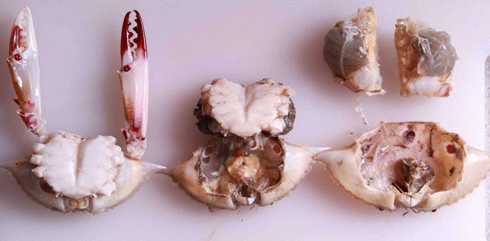 Crab Xec Xec Recipe: Goan Crab Curry Recipe